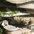 URBAN CACTUS House, progetto di UCX Architects